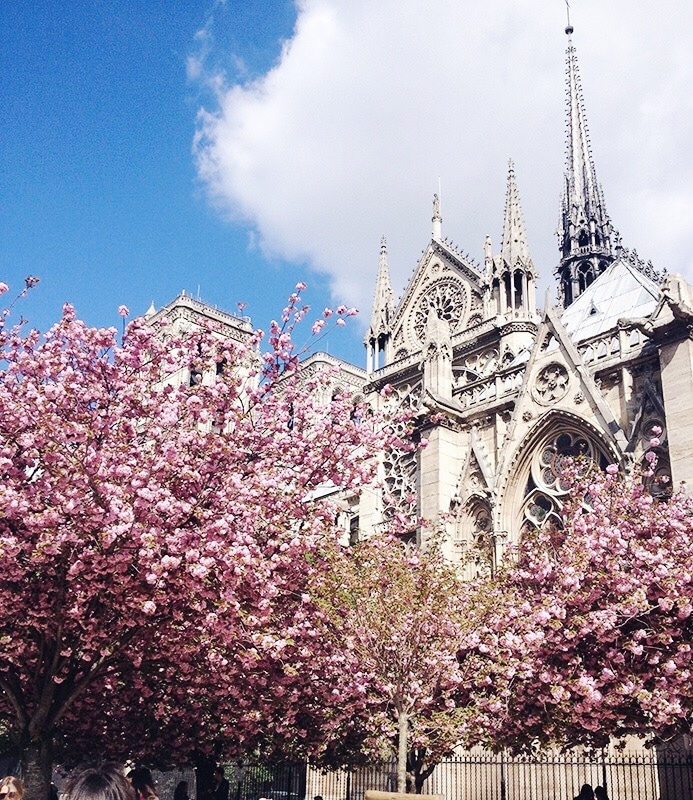 10 Reasons to Love Paris in Spring | Stephanie Fox Blog