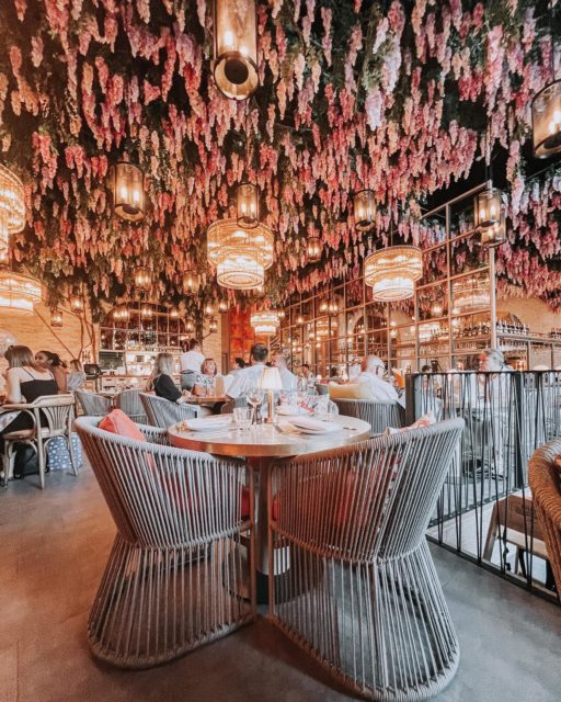 A Traditional German Bierhaus in Cologne - Stephanie Fox