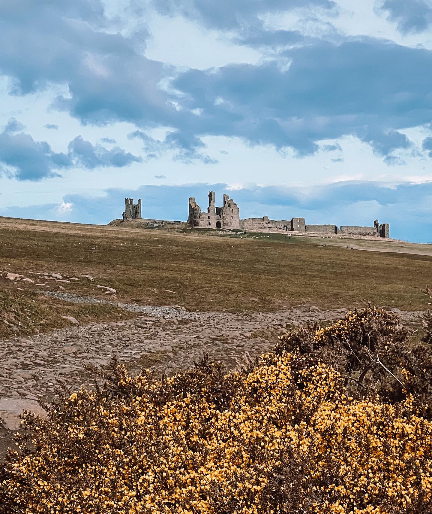 Sundays at the Newcastle Quayside Market - Stephanie Fox