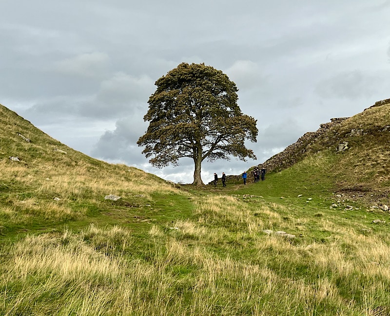 Sycamore Gap Walk Along Hadrian’s Wall | Stephanie Fox Blog